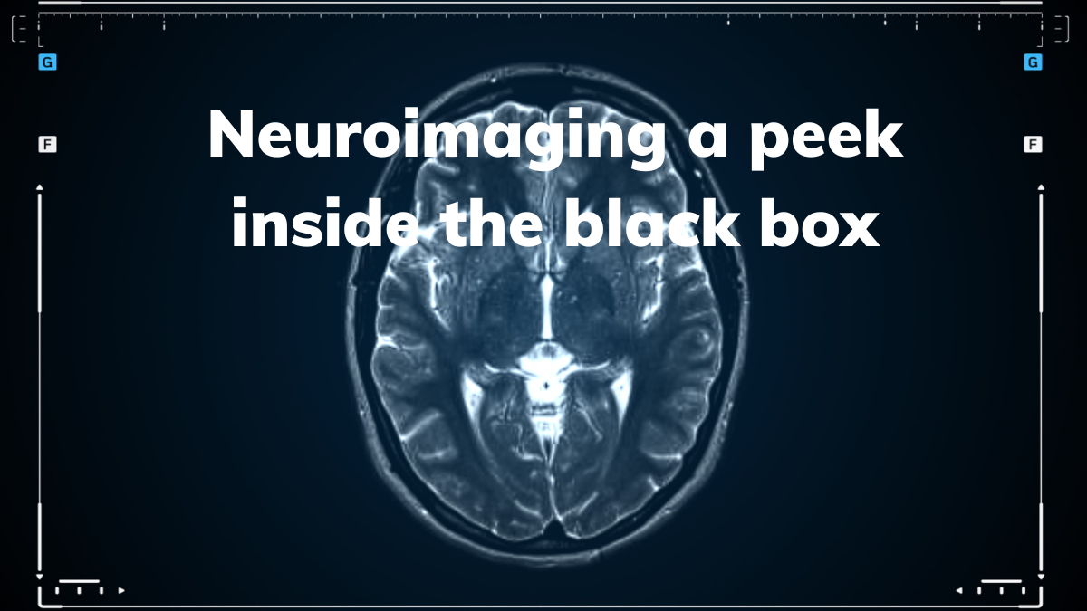Peering Inside the Black Box: How Neuroimaging is Revolutionizing ...